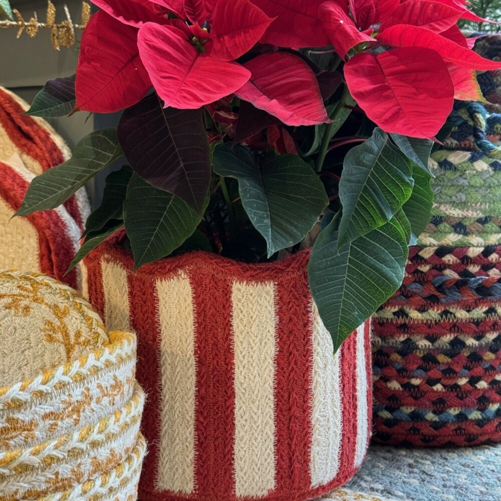 The Braided Rug Company Official